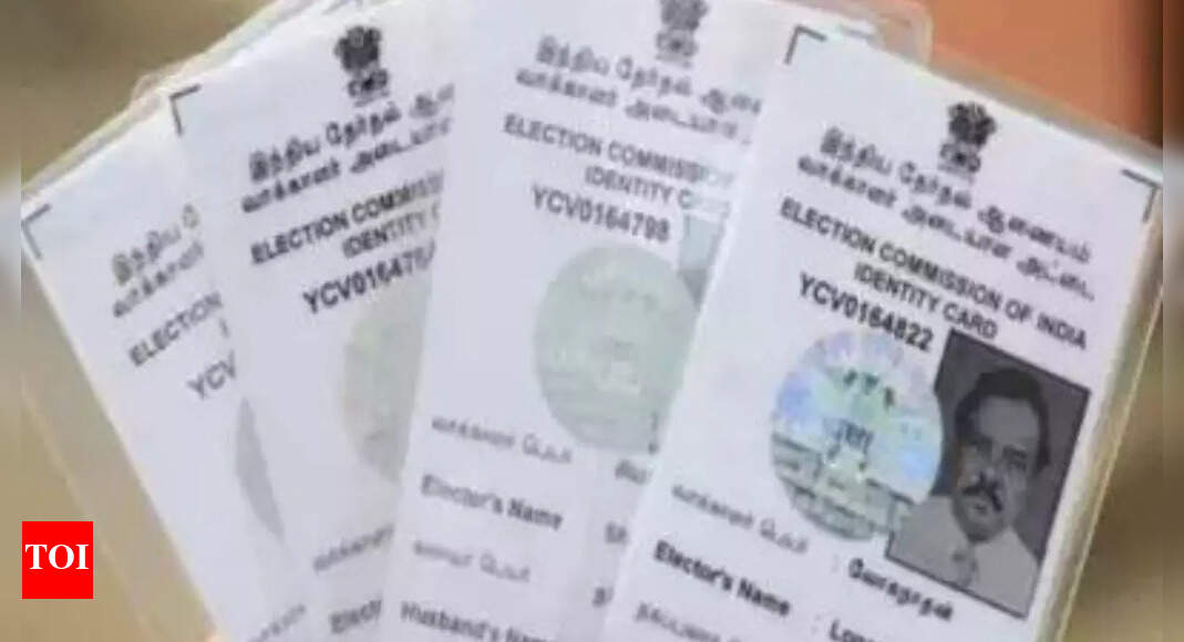 Lok Sabha Election 2024 begins: 11 alternative documents that can be ...