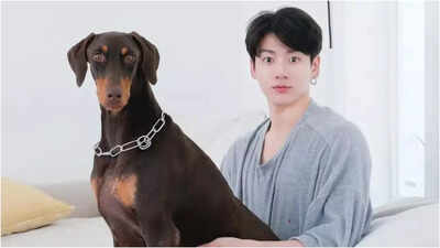 BTS Jungkook Instagram: BTS Jungkook's Pet Dobermann Bam's Instagram Account Receives Hate ...
