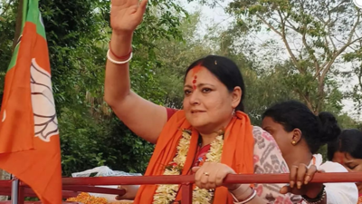 'Bengal has turned into new Bihar, new Kashmir': BJP leader Agnimitra Paul on sporadic violence ...