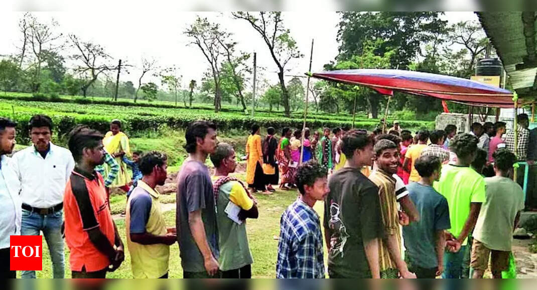 Tea Garden Workers: Tea Garden Workers Cast Votes, Hope For Revival Of ...