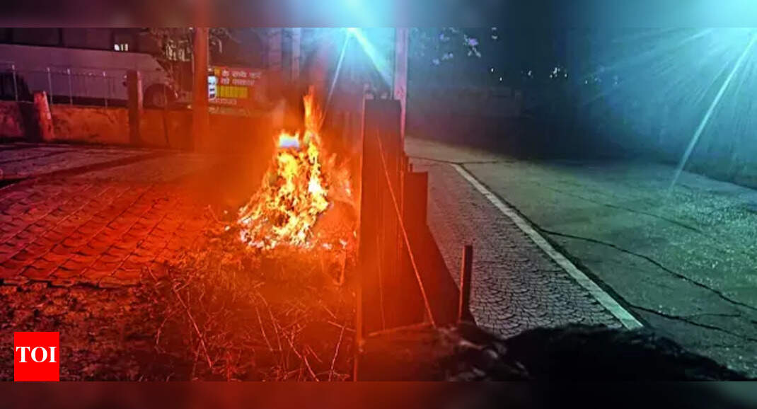 Green Waste: Green Waste Output Double The Capacity Of Processing Units ...