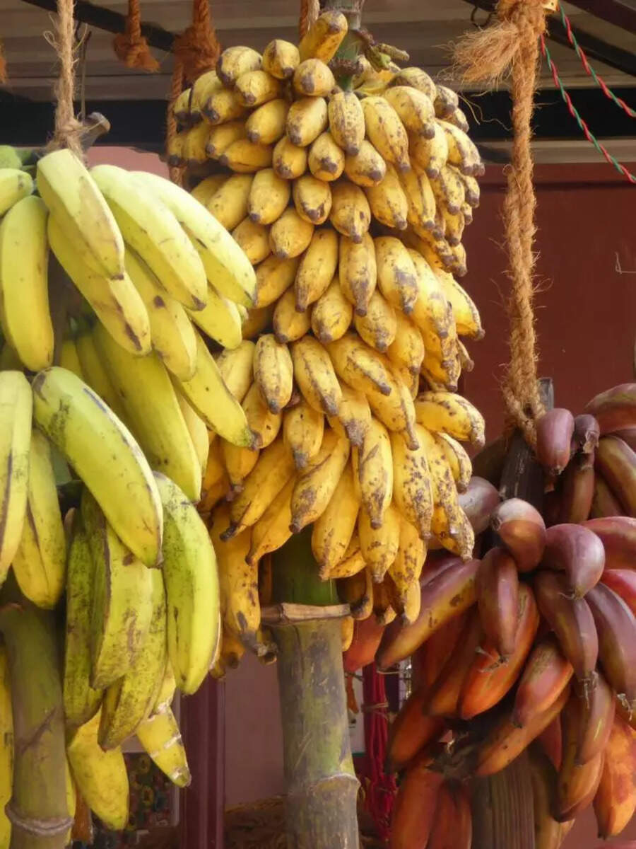 Types of Bananas: 10 Types Of Indian Bananas To Add To Your Fruit Bowl ...