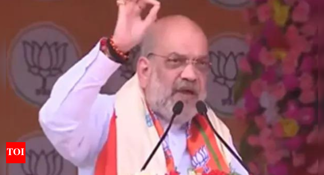 'Bihar was converted into 'jungle raj' under Lalu-Rabri govt': Amit ...