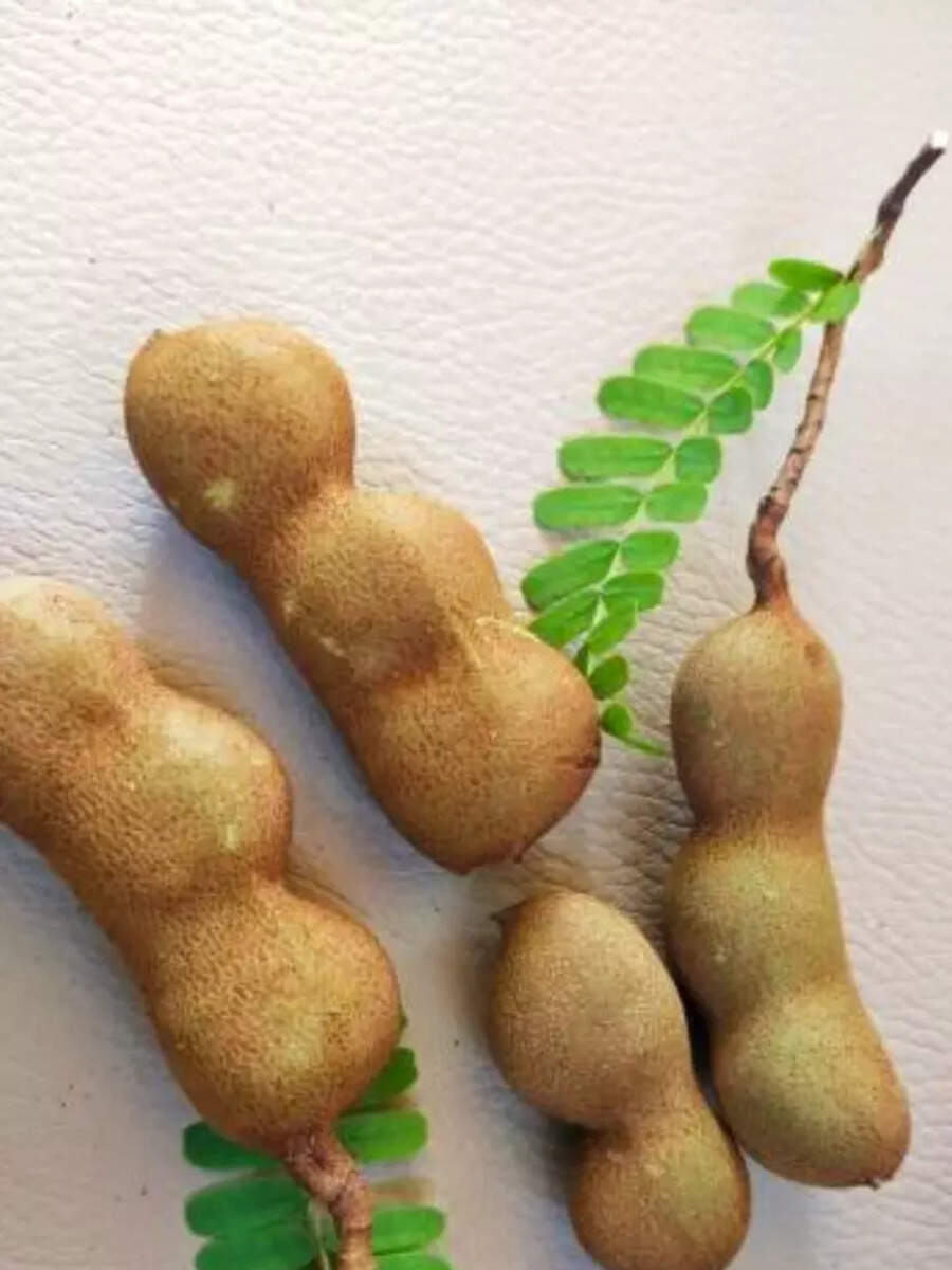 10 ways to add tamarind to your summer diet | Times of India