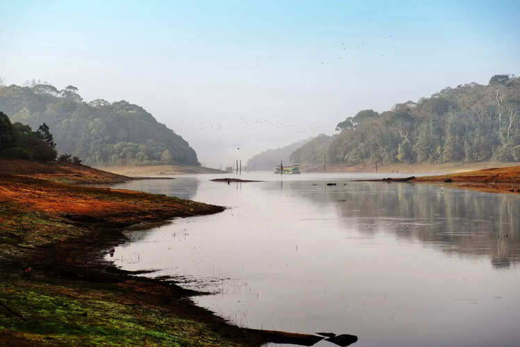 Kerala: Journey into the untamed beauty of Thekkady for a memorable ...