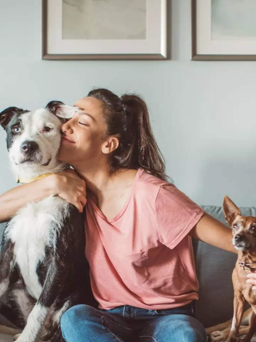 7 reasons why one should adopt a pet | Times of India
