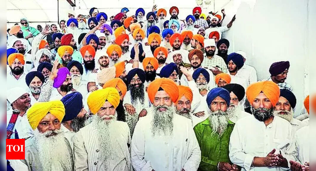 Chandumajra: Sohana Serves As Starting Point Of Sad Candidate ...