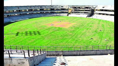 T20 Cricket: T20 Cricket Bonanza For Barodians | Vadodara News - Times ...
