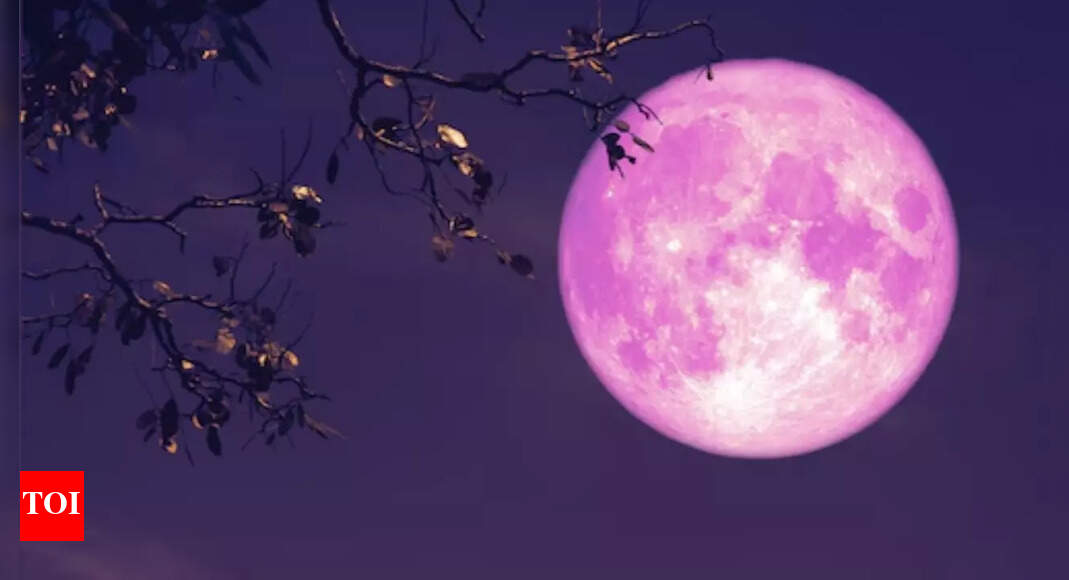 Pink Full Moon 2024: What it means for your moon sign and ways to ...