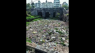 Garbage Piles: Garbage Piles Turn Pohra Into Haven For Mosquitoes ...