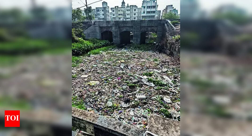 Garbage Piles: Garbage Piles Turn Pohra Into Haven For Mosquitoes ...