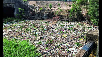 Garbage Piles: Garbage Piles Turn Pohra Into Haven For Mosquitoes ...