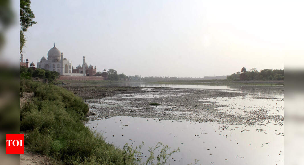 Supreme Court orders immediate cleaning of Yamuna River in Agra | Agra ...