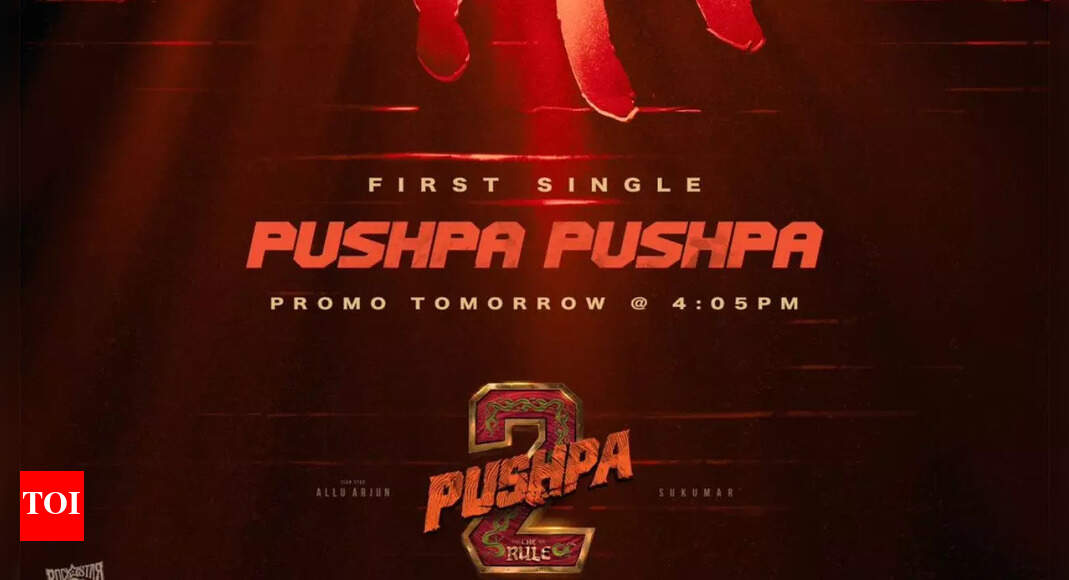 Pushpa 2: Promo of first single 'Pushpa Pushpa' from Allu Arjun and Rashmika Mandanna starrer ...