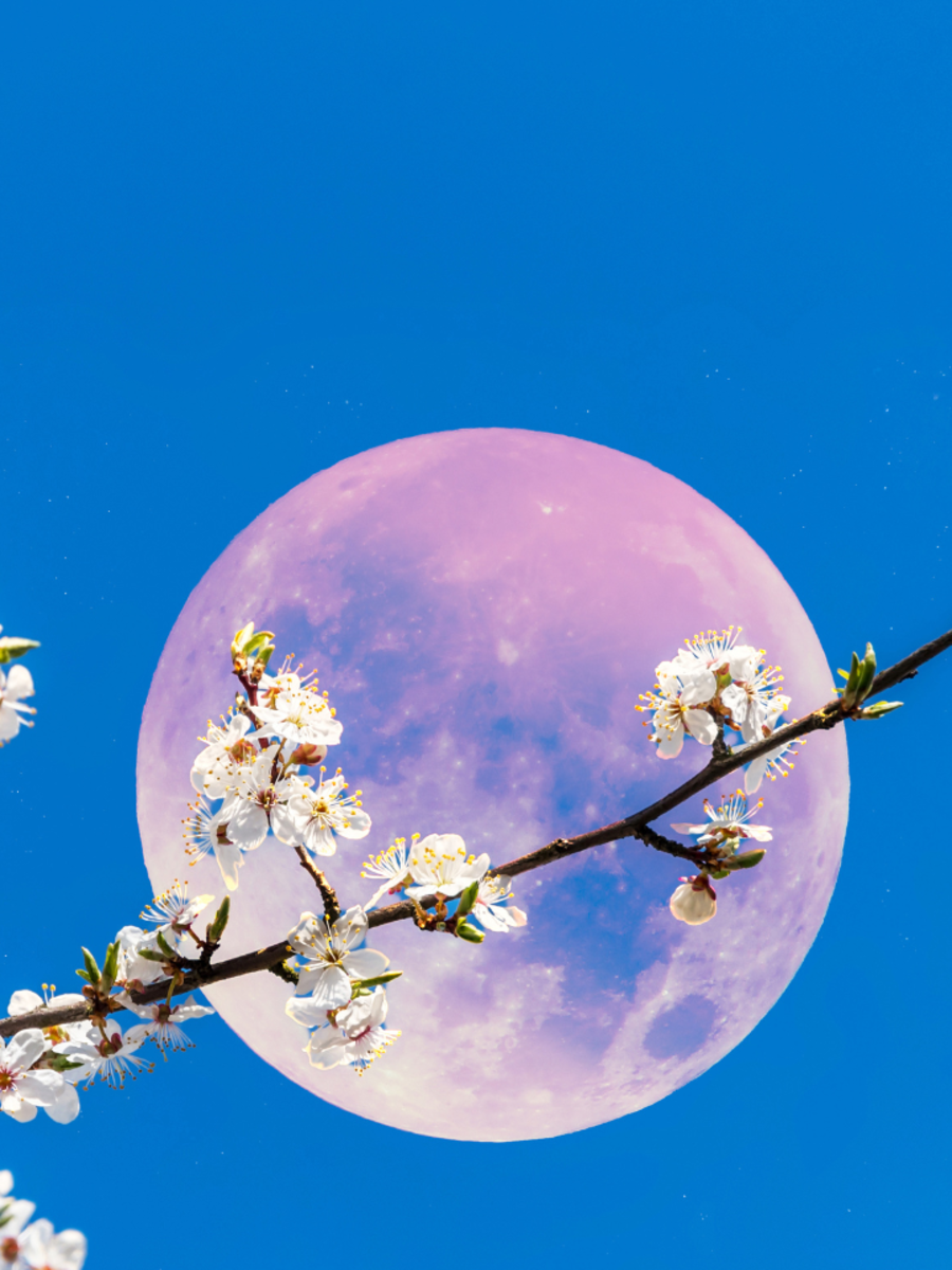 In pics: The beautiful pink moon as spotted in different parts of the ...