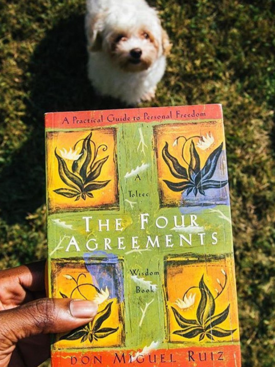 The Four Agreements By Don Miguel Ruiz Summarised in 2 Minutes | Times Now