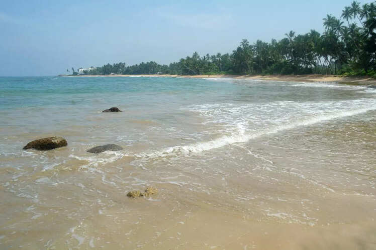 Chennai Beaches: Exploring the coastal charms of Chennai; A guide to the best beaches | Times of ...