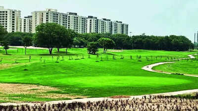 Golf Course: Above Par Score! Dda’s Golf Course At Dwarka All Set To ...