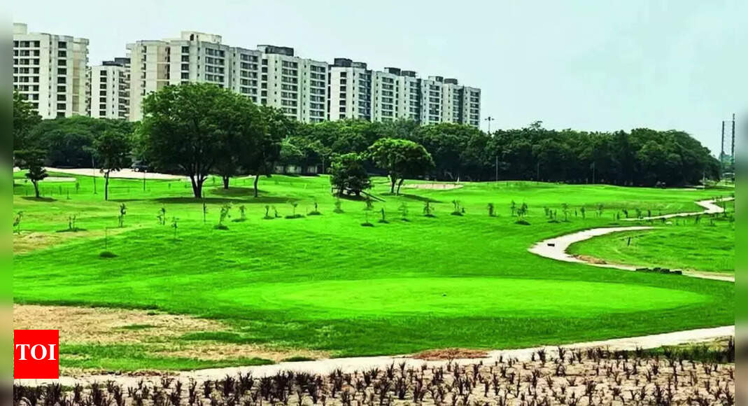 Golf Course: Above Par Score! Dda’s Golf Course At Dwarka All Set To ...