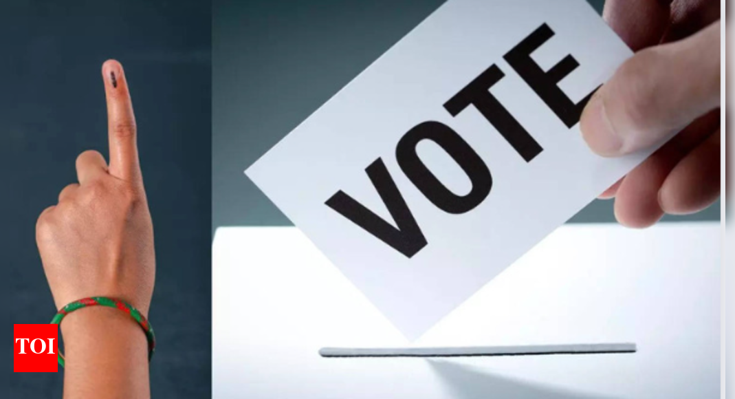 What voters need to have: List of 10 documents | Bengaluru News - Times ...