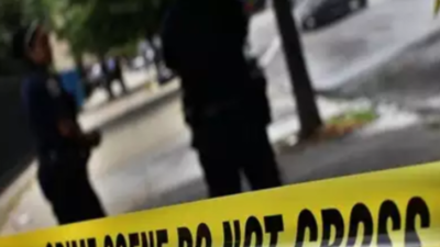 Masked men attack Swedish anti-fascism meeting - Times of India