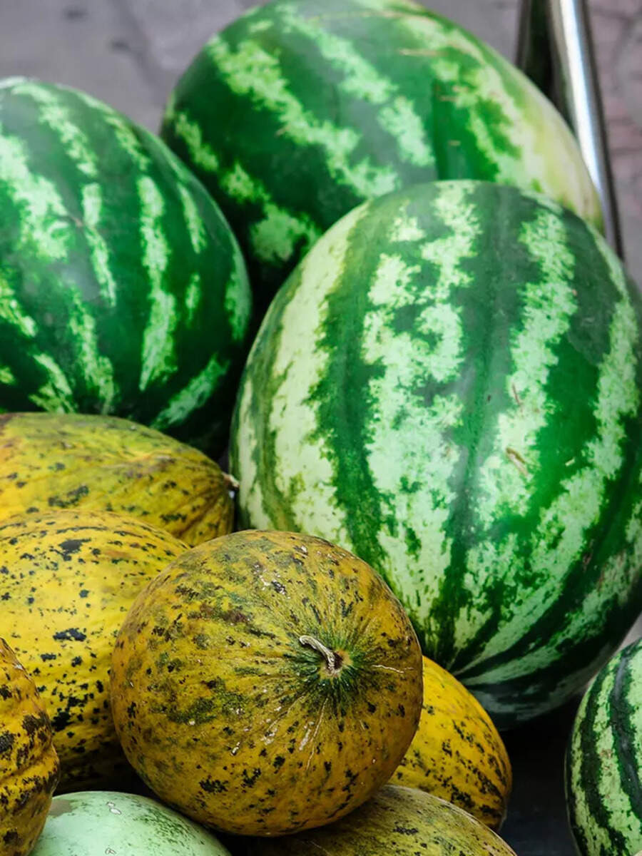 10 types of melons and their unique benefits | Times of India