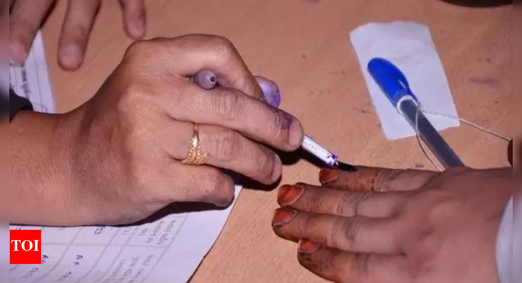 Chhattisgarh records 73% voter turnout in second phase of Lok Sabha ...