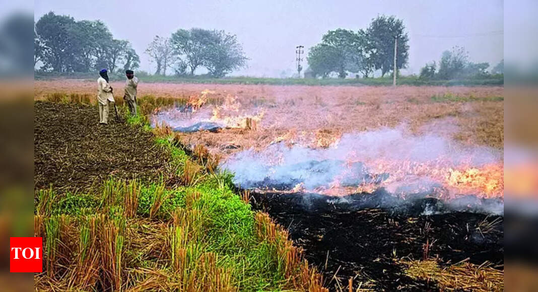 Crop Fire: Fire Dept On High Alert To Counter Crop Fire In Prayagraj ...