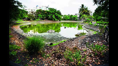 Lakaki Lake: Lakaki Lake In Model Colony Shrinks As Temp Soars ...