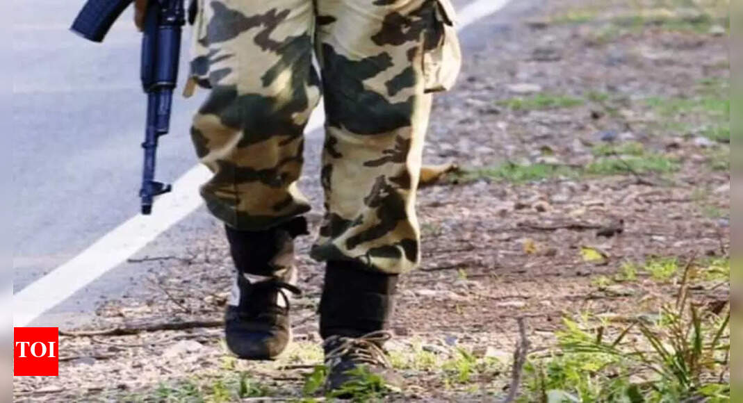 Two CRPF jawan killed in militant attack in Manipur | Imphal News ...