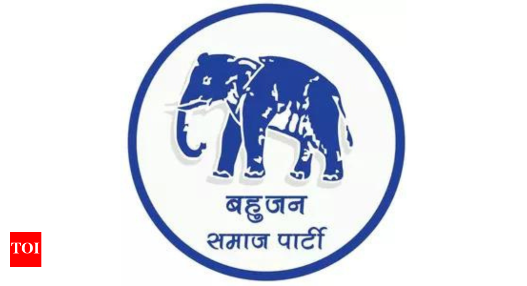 BSP: Bsp Enters Delhi Arena, Declares Six Candidates | Delhi News ...