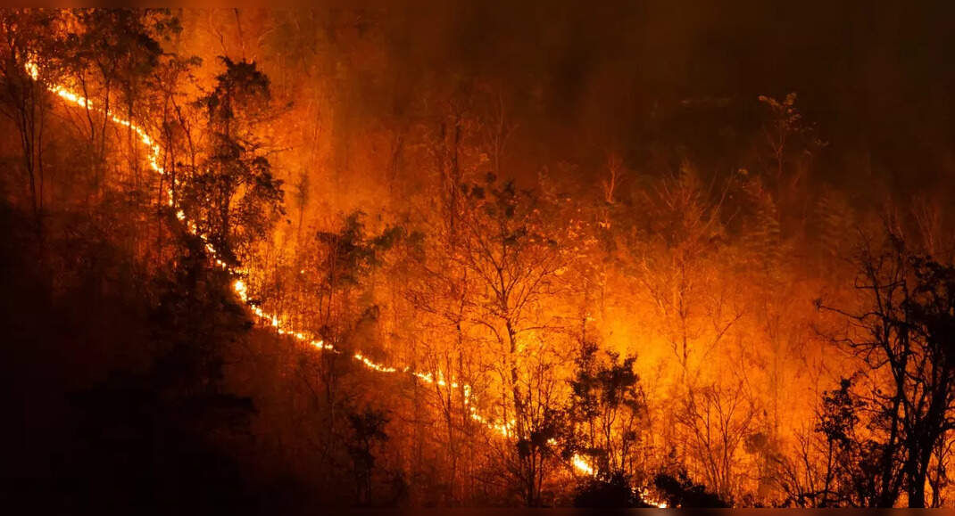 Nainital Forest Fire: Uttarakhand: Forest fire in Nainital; Naini Lake ...