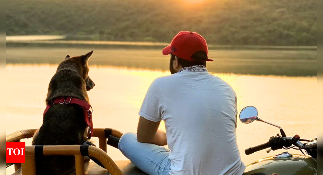 Pet parents on the rise in India - The Times of India