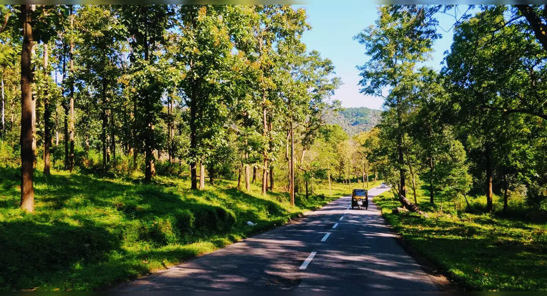 6 things that make Wayanad a summer favourite | TimesTravel