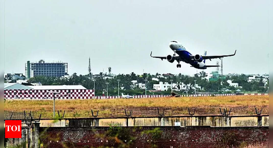 Bird-Hit Incidents: Bird-hit Incidents Drop At City Airport ...