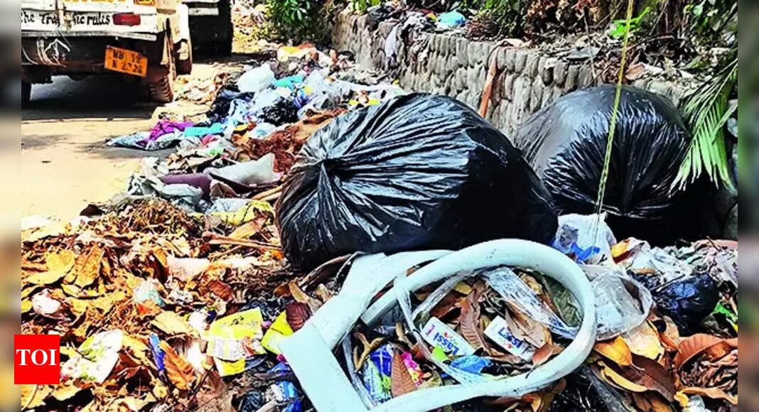 Garbage Piles: Garbage Piles Back On Kol Streets, A Decade After ...