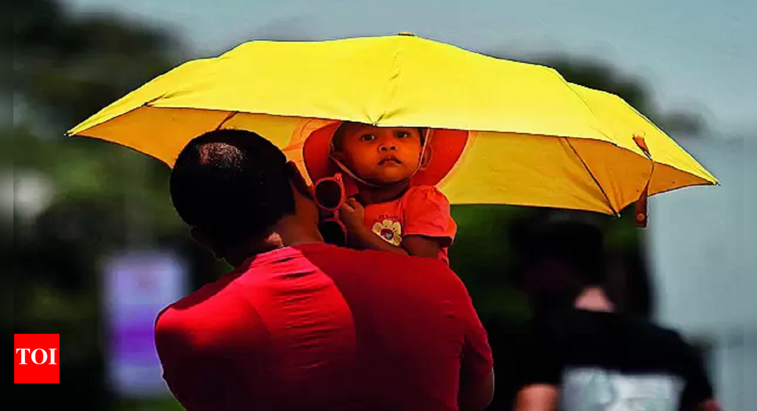 Heat Wave Warning: Heat Wave Warning Issued For City, Second This ...
