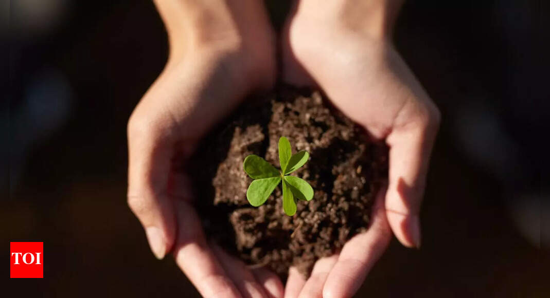 DIY ways to make the planet greener: Small actions, big impact - Times ...