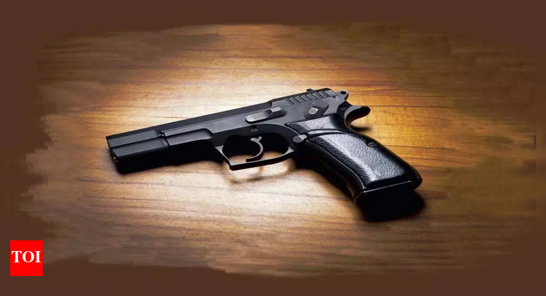 Goa man leaves gun in car outside bar he ran, shot dead by ‘misfired ...