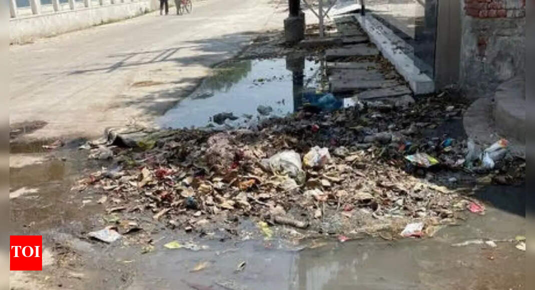 Drains not cleaned, garbage piles up too — and this is a ‘smart village’ | Noida News - Times of ...