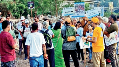 Citizens must actively participate to save remaining green cover ...