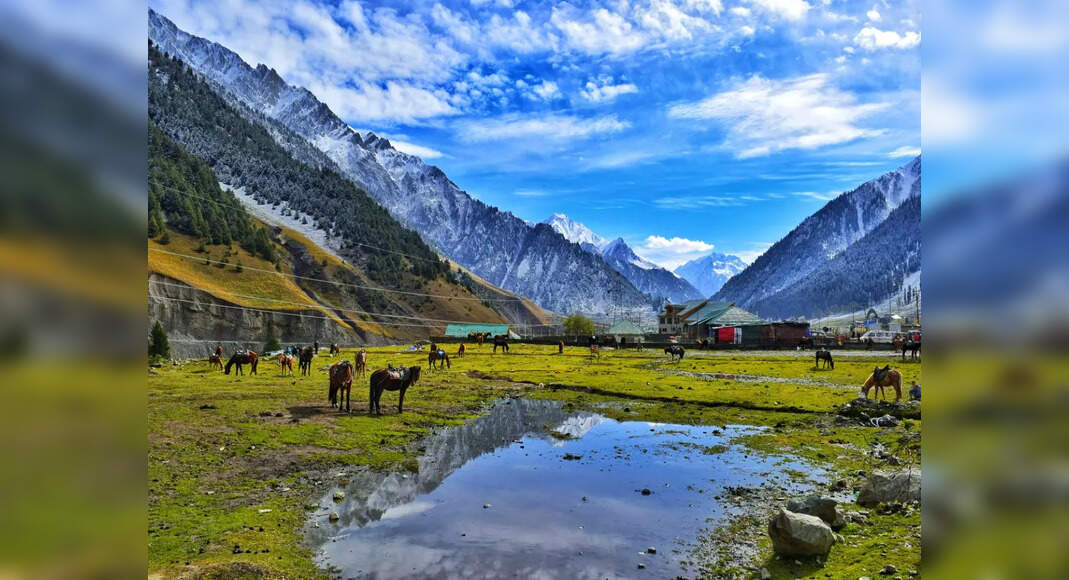Pahalgam Summer Travel: How to reach Pahalgam in Kashmir, a perfect ...