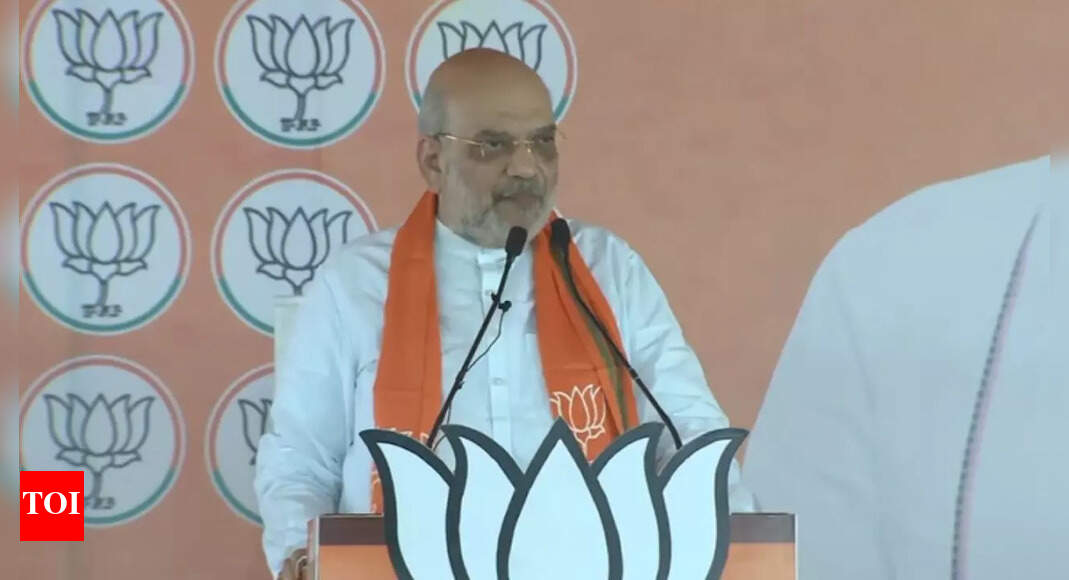 BJP will not end caste reservation nor let anyone else do it: Amit Shah | Agra News - Times of India