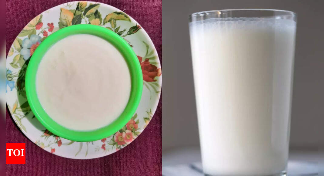 Curd or buttermilk: Which is better to consume in the morning Curd or ...