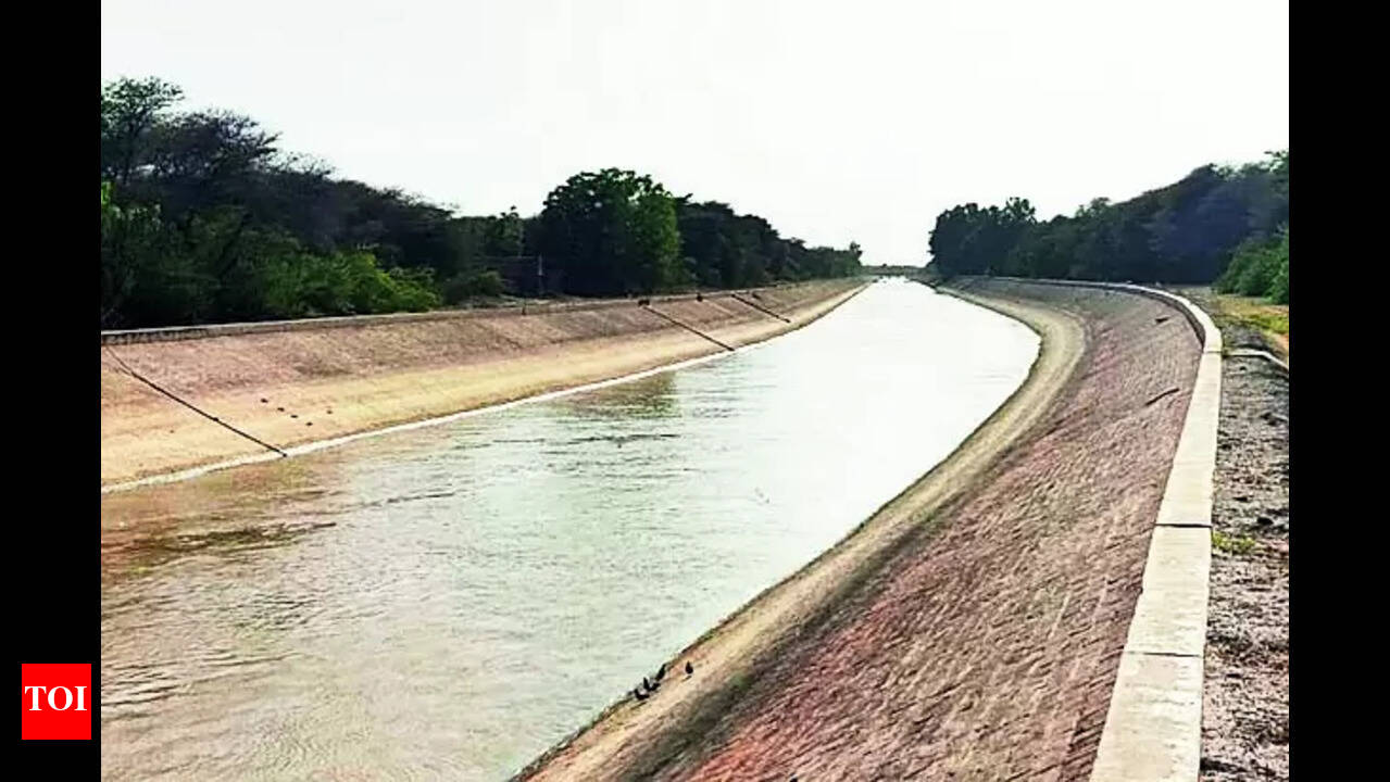 Barragem Do Canal Indira Gandhi Impact Assessment Of The Indira Gandhi