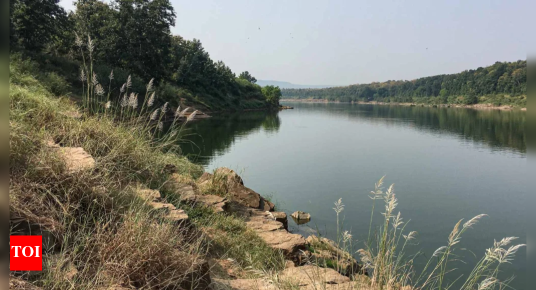 Raintree Foundation to undertake rejuvenation of Shastri River Basin in ...
