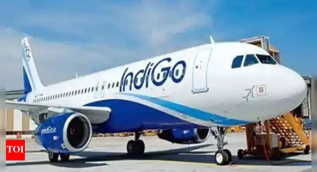 IndiGo starts service at Delhi airport’s T1 for specially-abled ...
