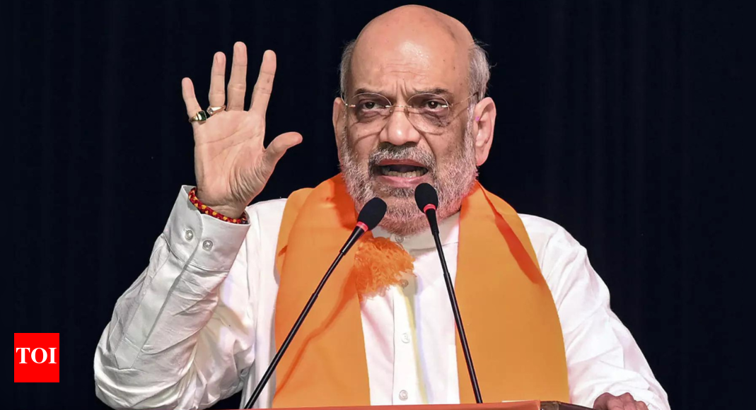 'Lower turnout not a worry, we’ll get more seats than last time': Amit Shah - Times of India