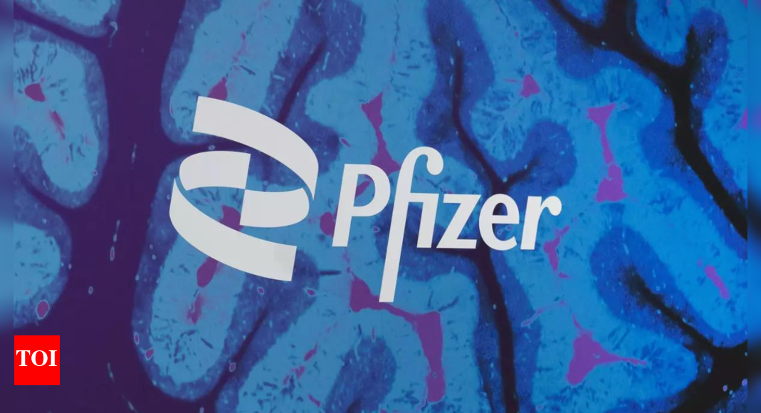 Pfizer wins trademark battle in Delhi high court | India News - The ...