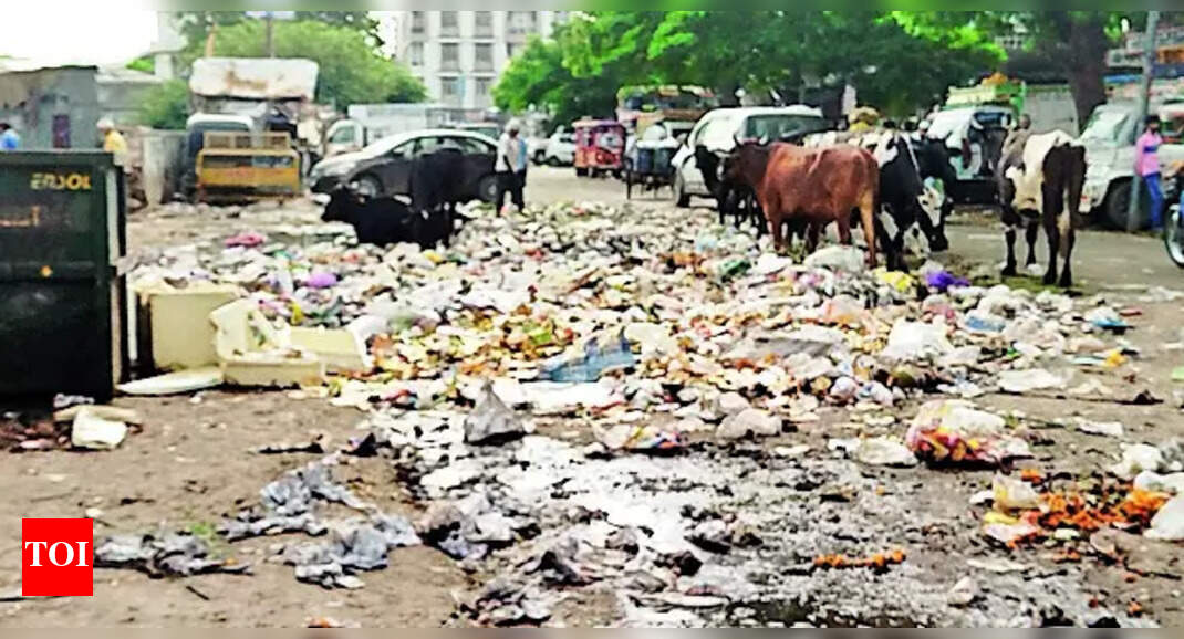 Garbage: City resembles garbage bin as waste lies in open | Jaipur News ...